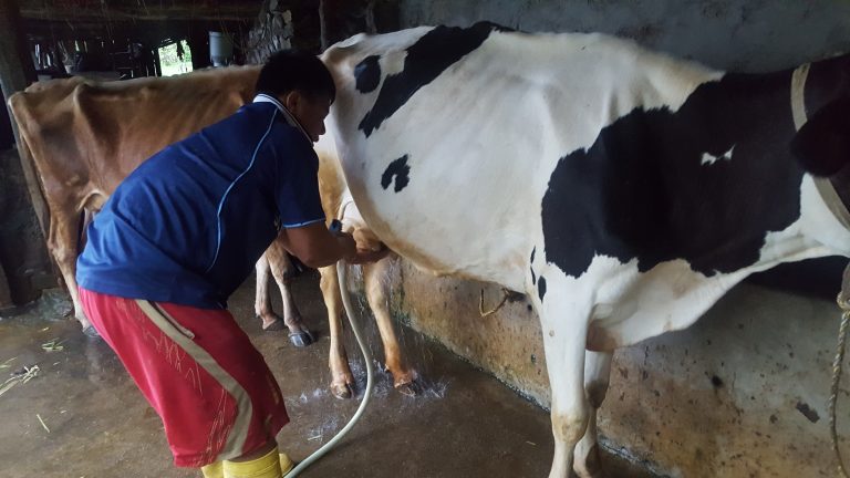 Clean Milk Production Monitoring Carlep Carlep